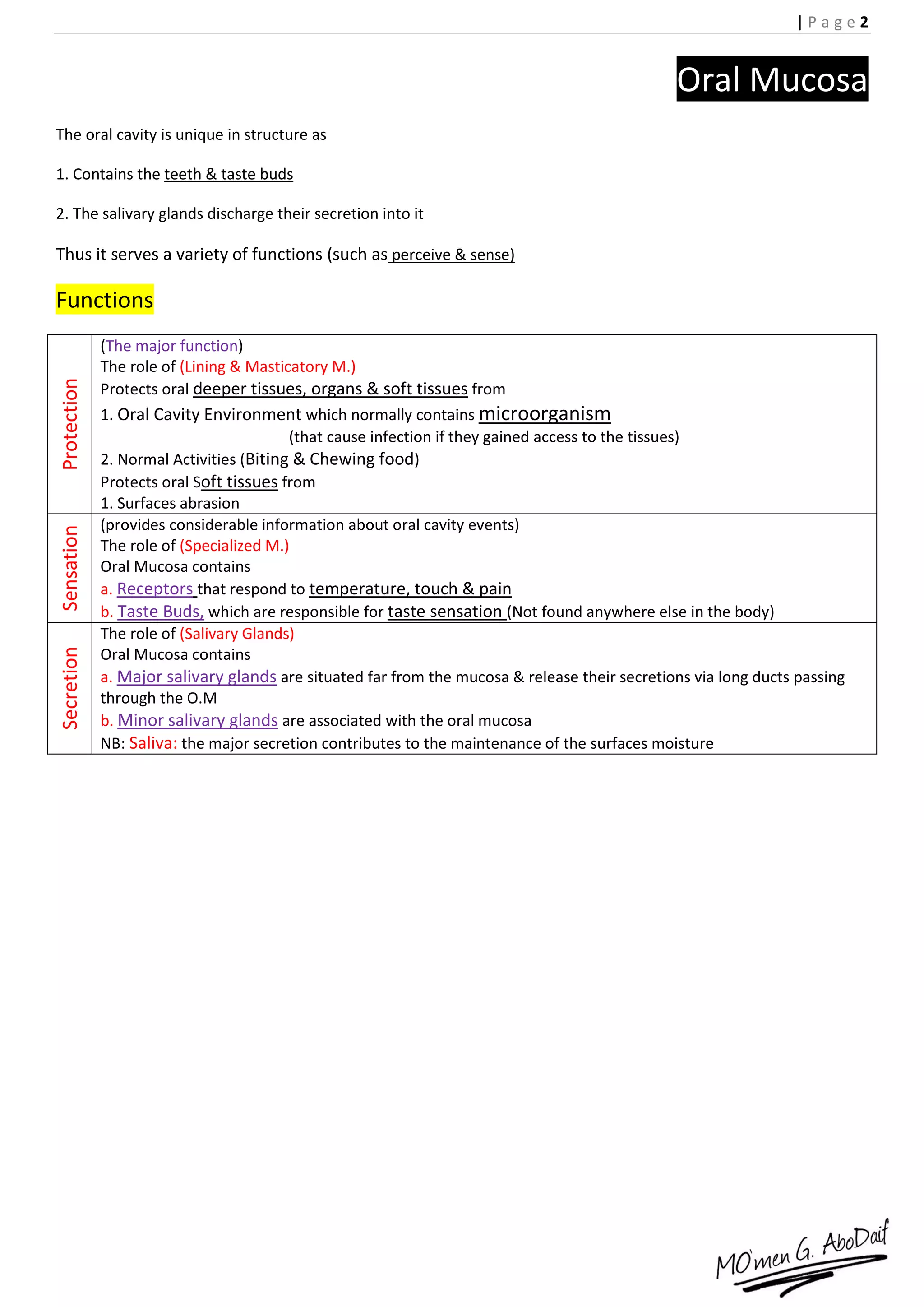 Handout of Oral Mucosa Histology | PDF