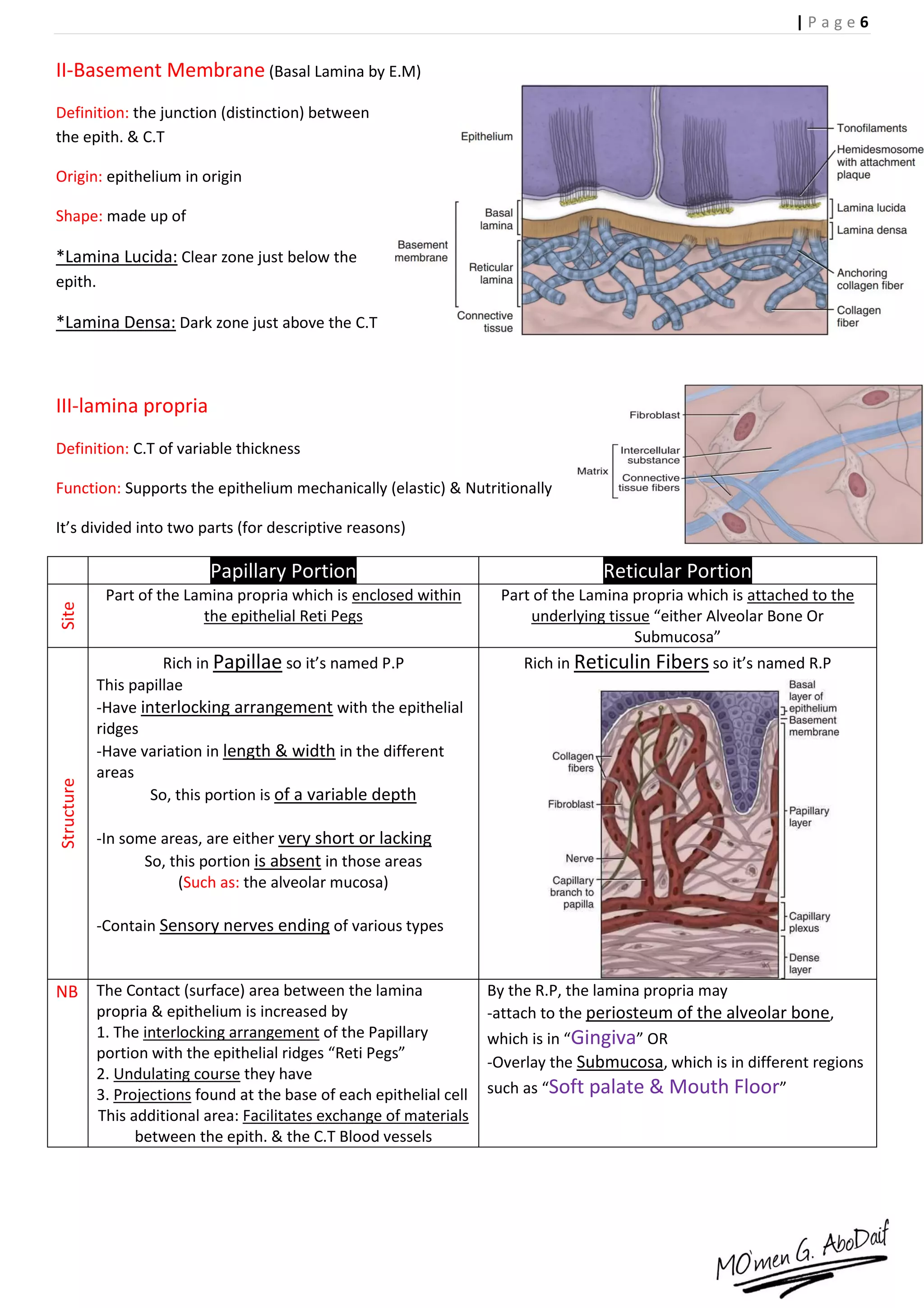 Handout of Oral Mucosa Histology | PDF