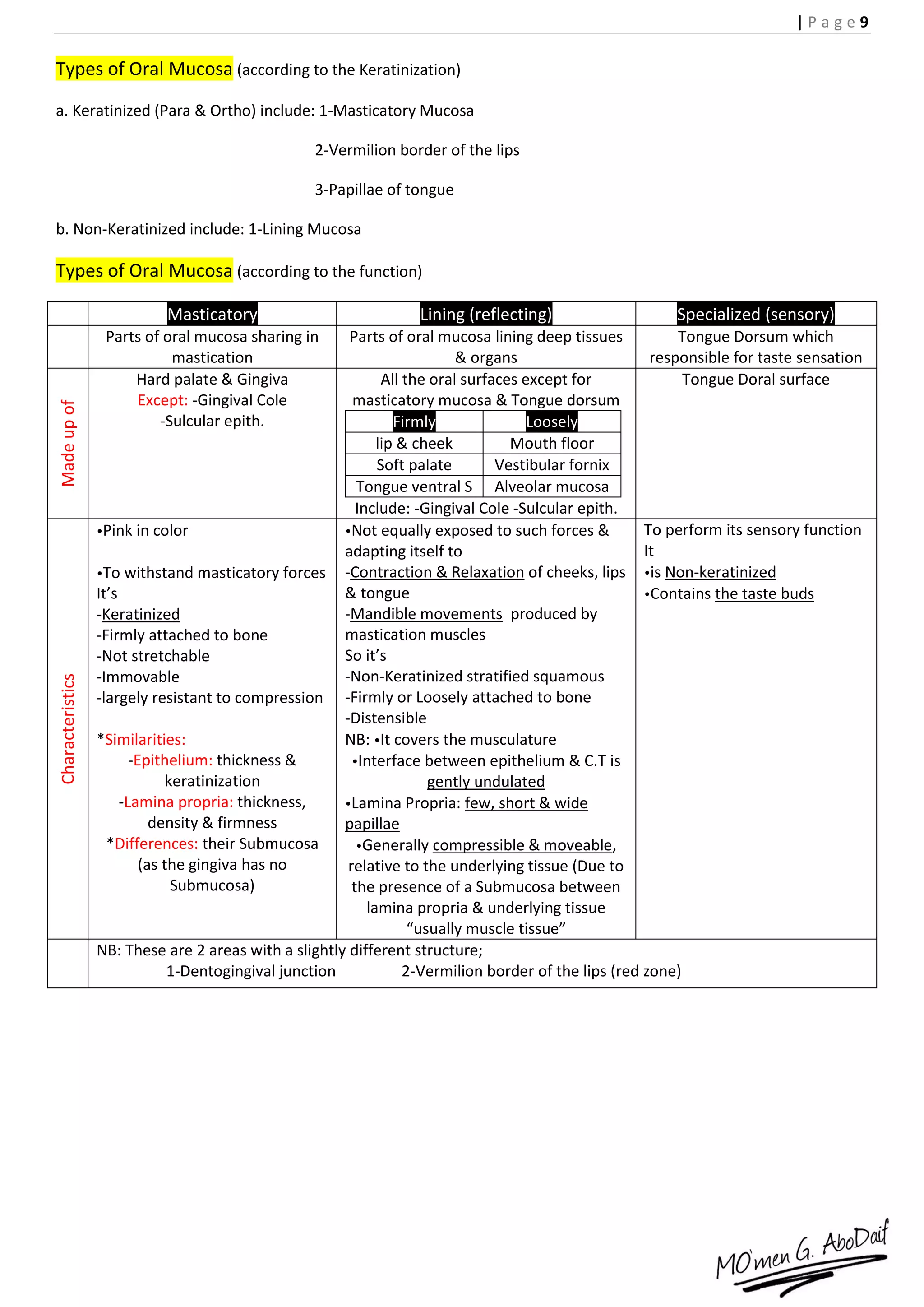 Handout of Oral Mucosa Histology | PDF