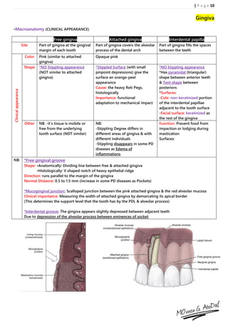 Handout of Oral Mucosa Histology | PDF