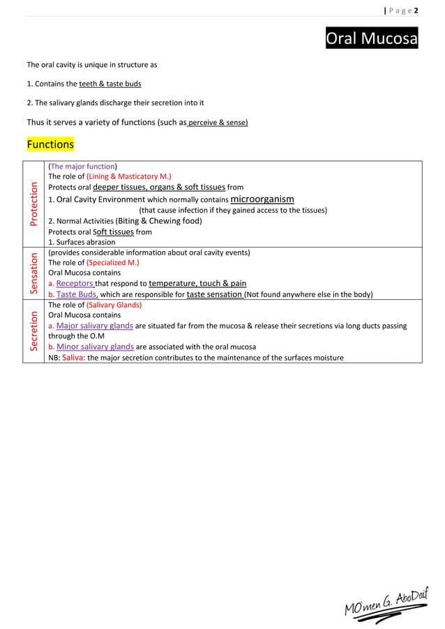 Handout of Oral Mucosa Histology | PDF | Dental Health | Diseases and ...