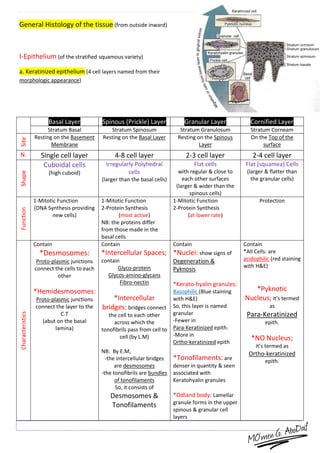 Handout of Oral Mucosa Histology | PDF