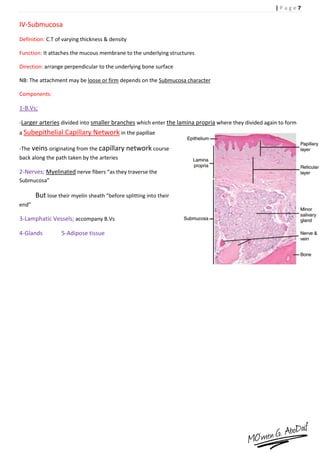 Handout of Oral Mucosa Histology | PDF