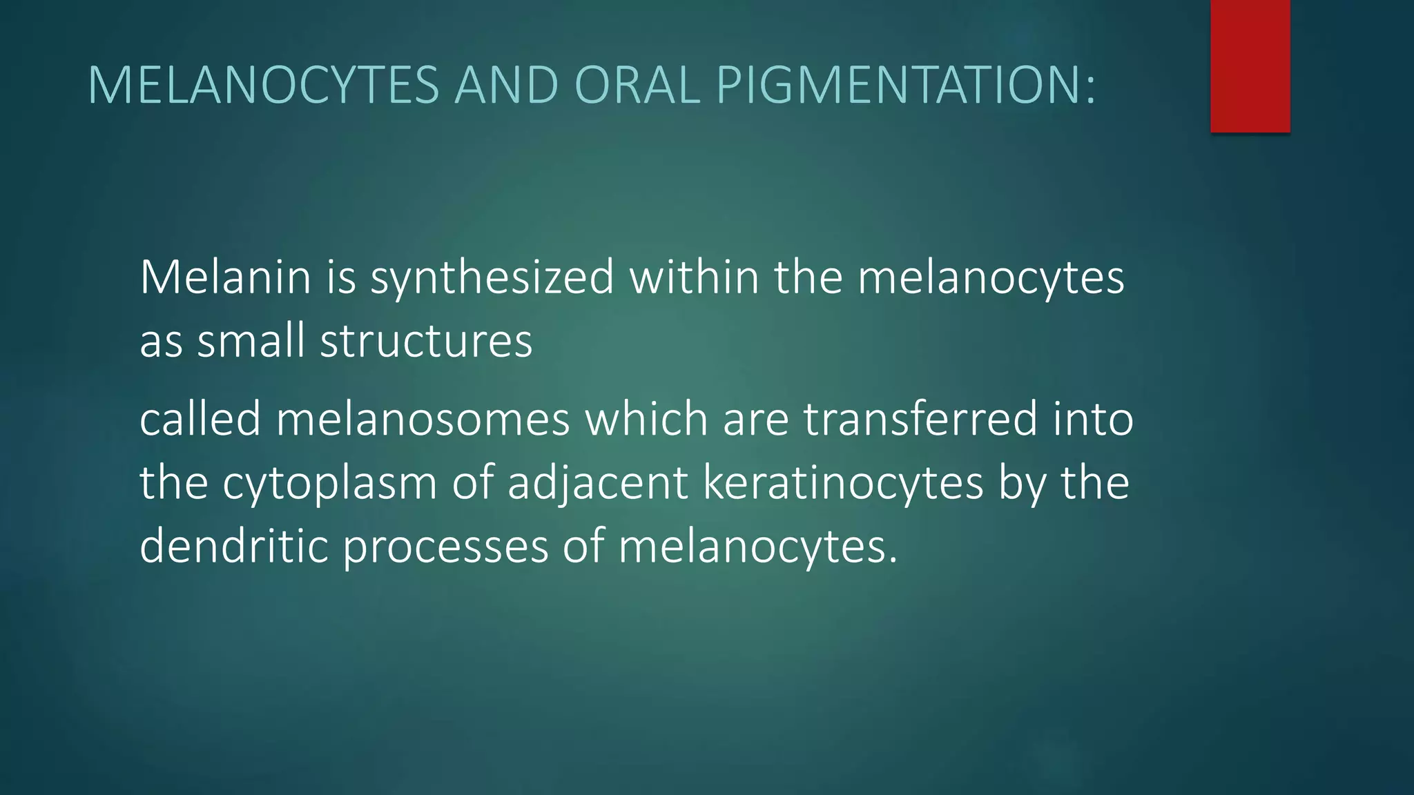 Oral mucosa1234 | PPTX