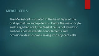 Oral mucosa1234 | PPTX