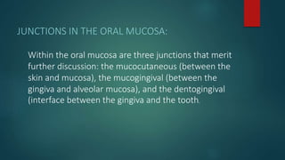 Oral mucosa1234 | PPTX