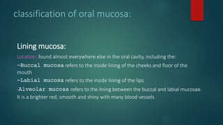 Oral mucosa1234 | PPTX