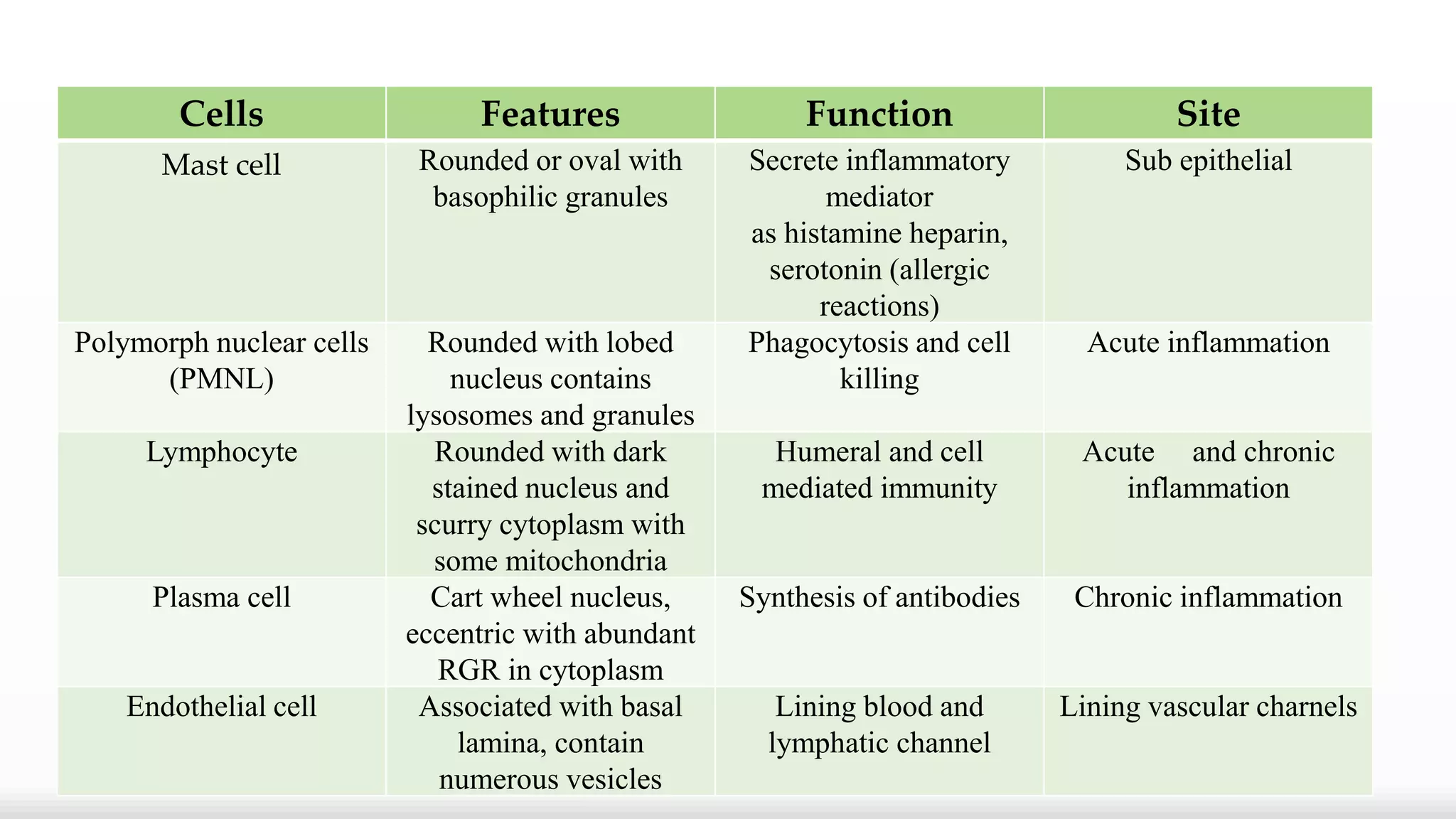 Oral mucosa part 1 | PPTX