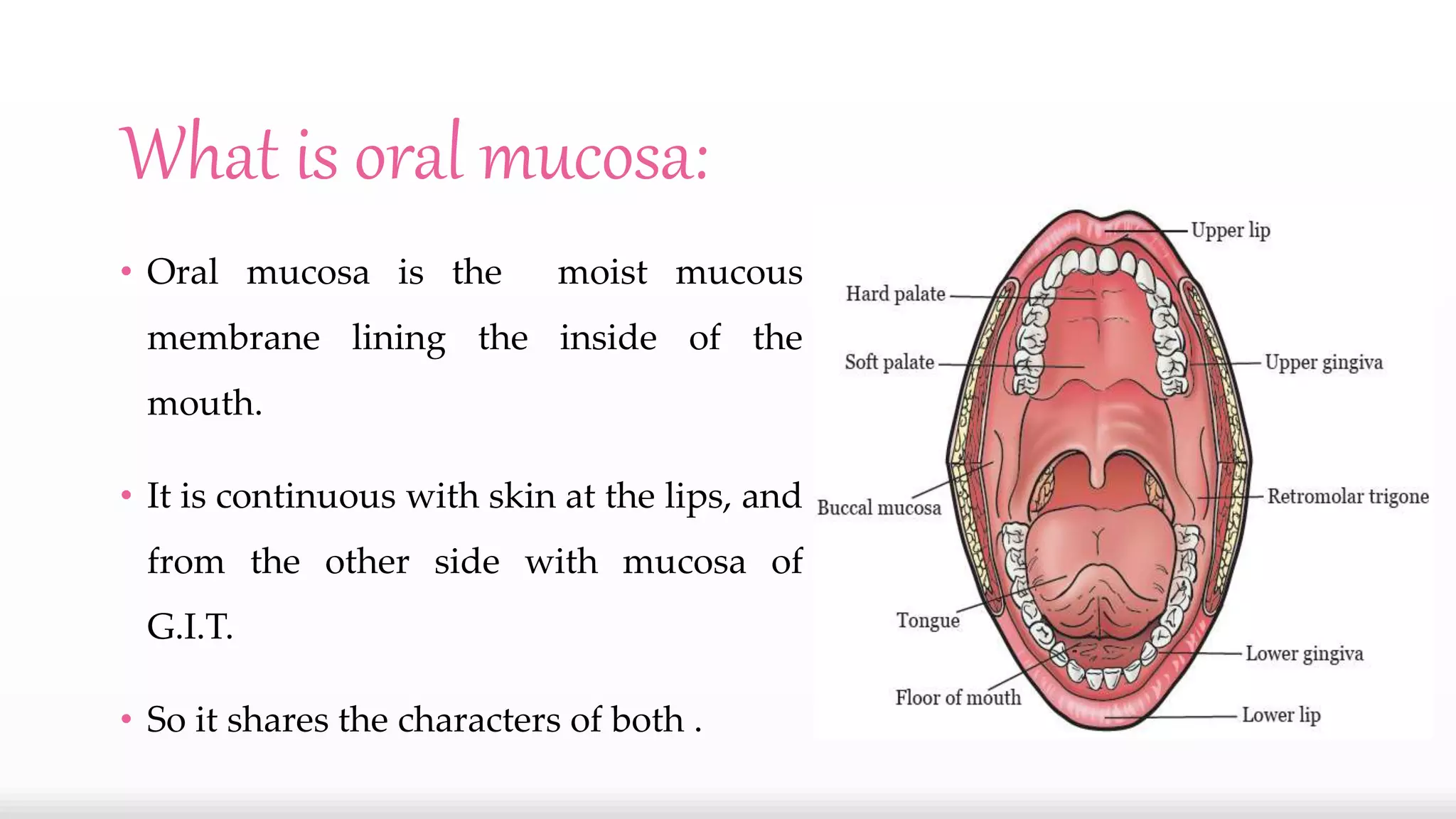 Oral mucosa part 1 | PPTX