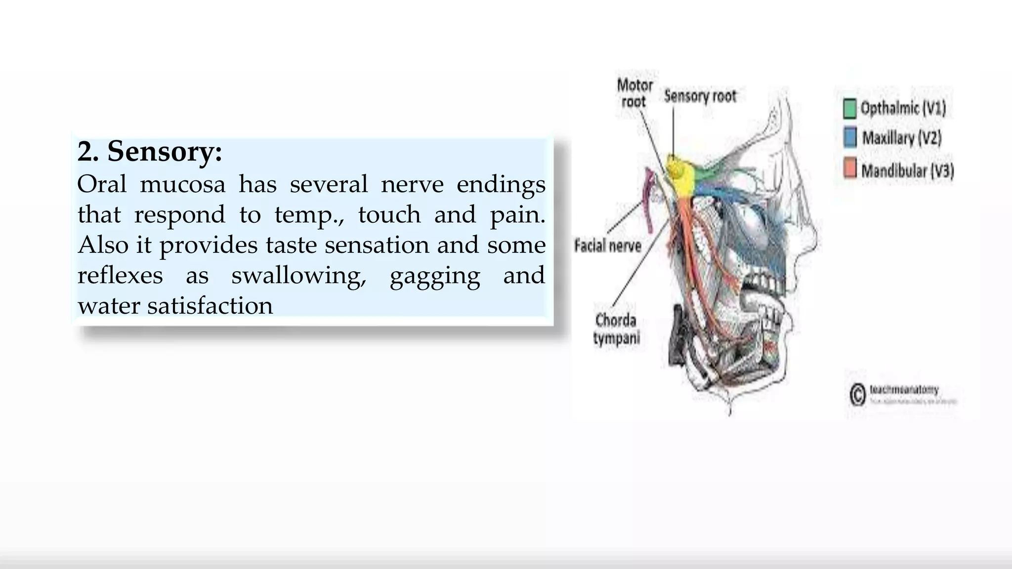 Oral mucosa part 1 | PPTX