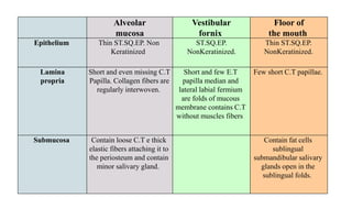 Oral mucosa part 2 | PPTX