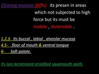 Oral mucosa 1 dr: 3mmar | PPTX