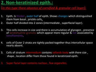 Oral mucosa 1 dr: 3mmar | PPT