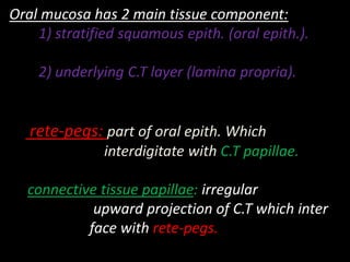 Oral mucosa 1 dr: 3mmar | PPTX