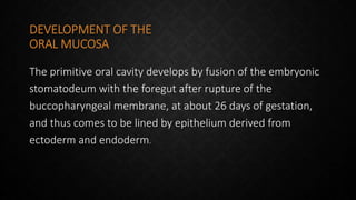 Oral mucosa1yyy | PPT