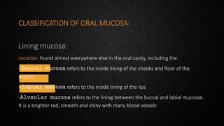 Oral mucosa1yyy | PPT
