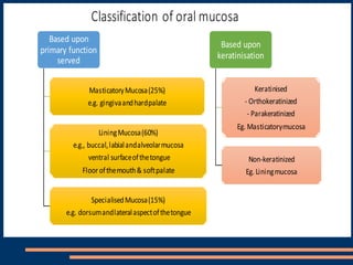 Oral mucosa 2 | PPT