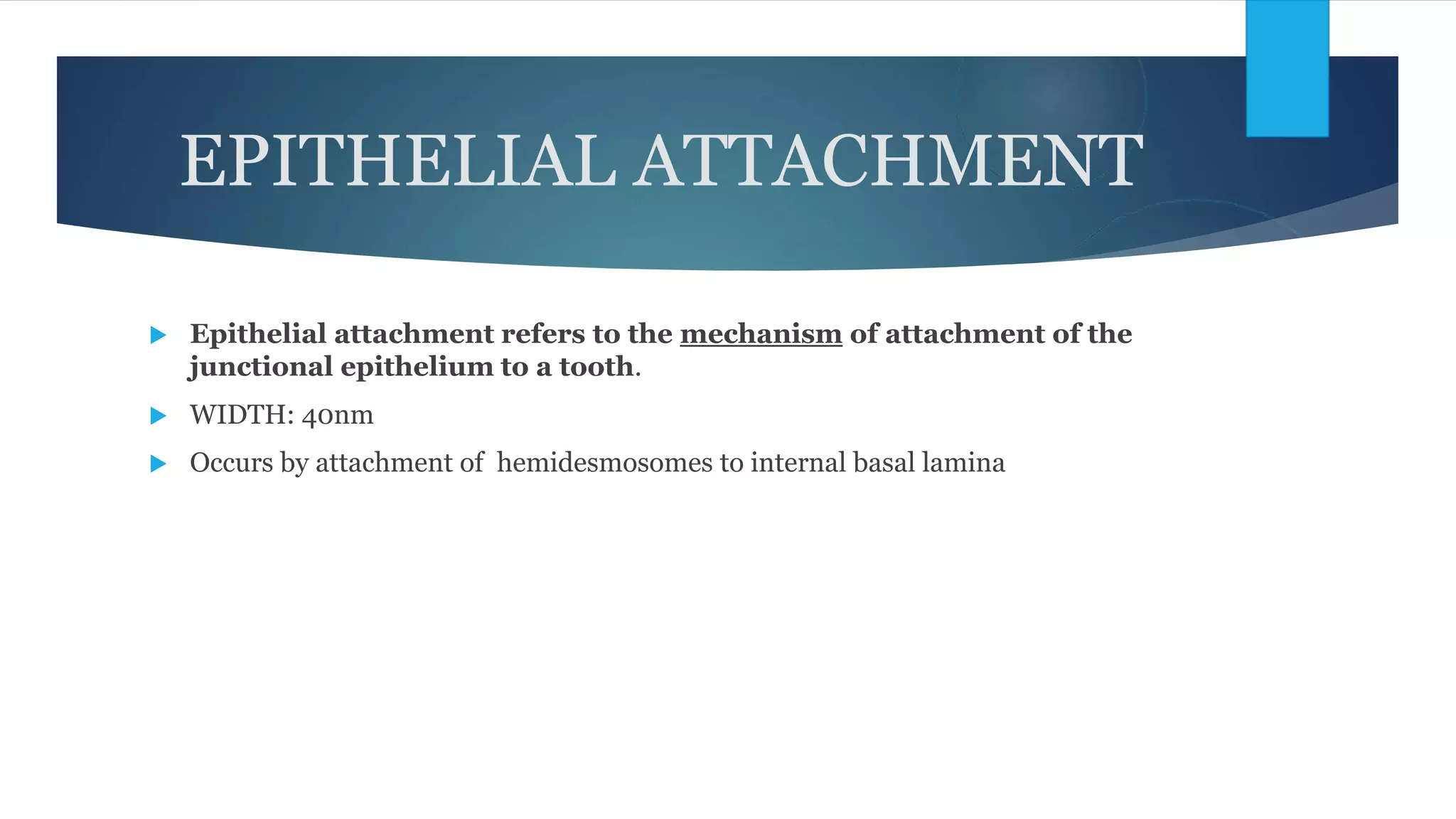 Oral mucosa .pptx