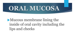 Oral mucosa .pptx