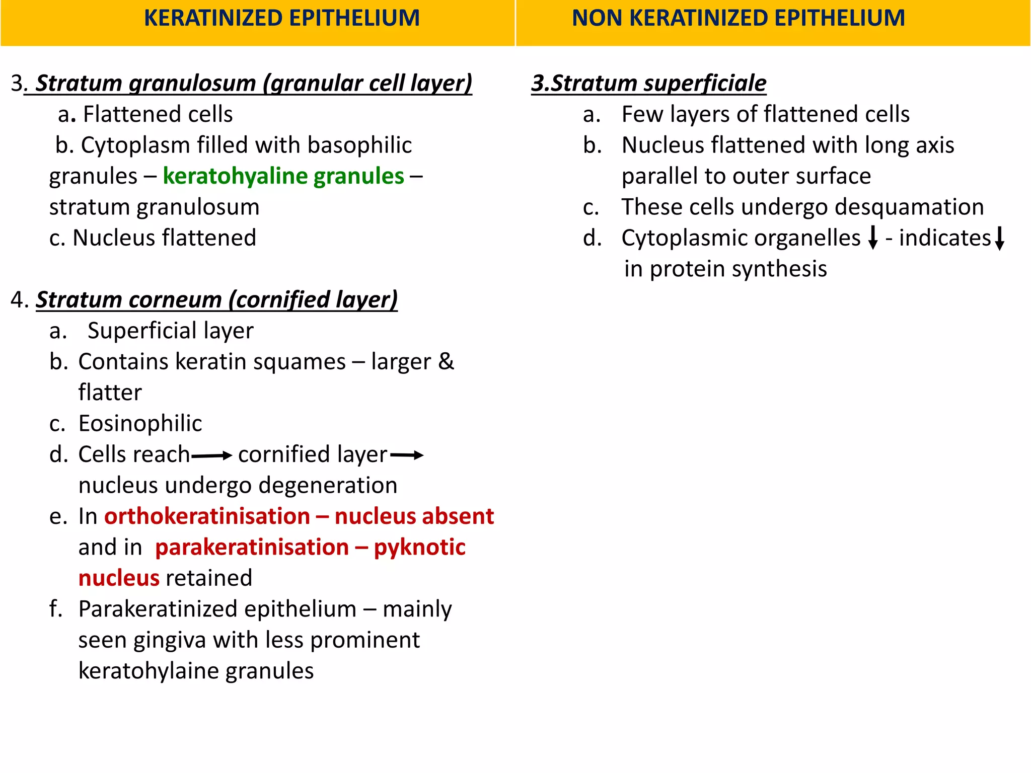 Oral mucosa in health | PPTX