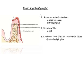 Oral mucosa in health | PPT