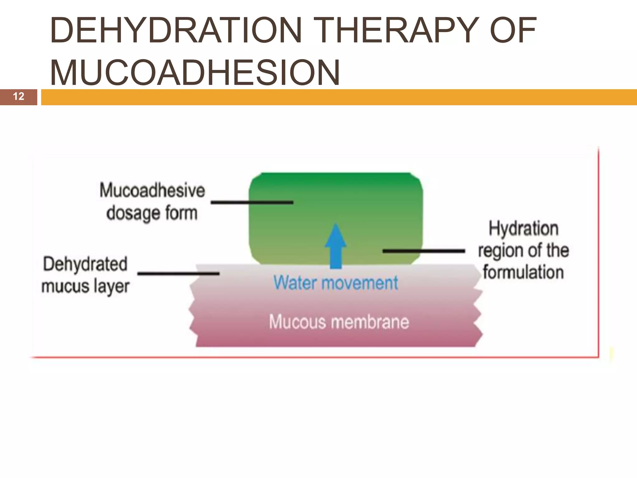 Oral mucosal drug delivery systems | PPTX