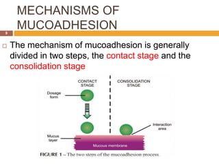 Oral mucosal drug delivery systems | PPTX