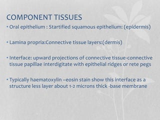 Oral mucosal membrane | PPTX