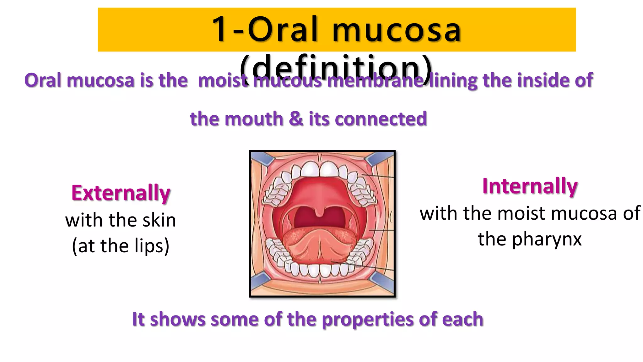 Oral mucosa | PPTX