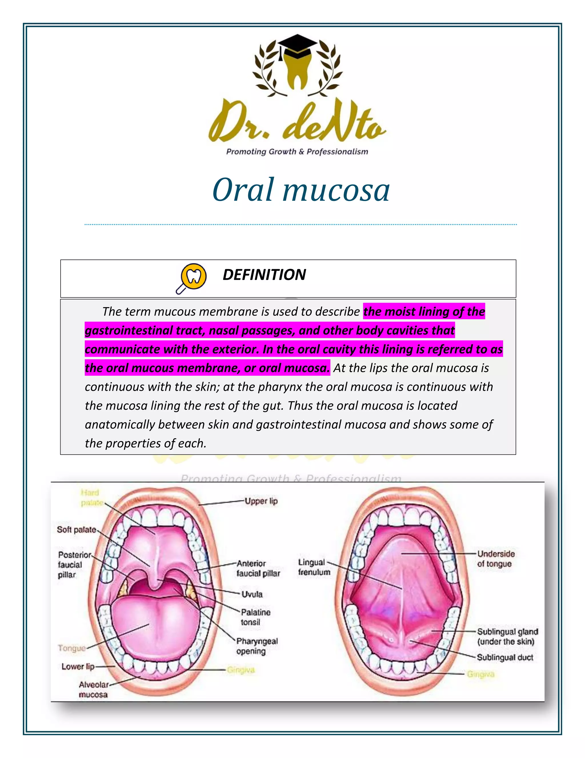 Oral mucosa membrane | PDF