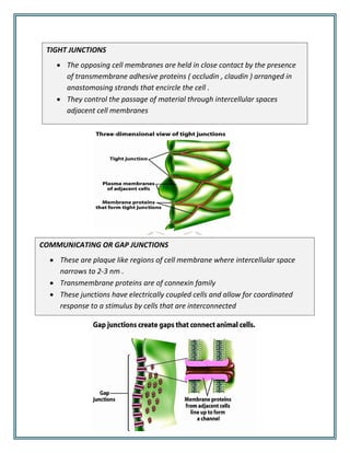 Oral mucosa membrane | PDF