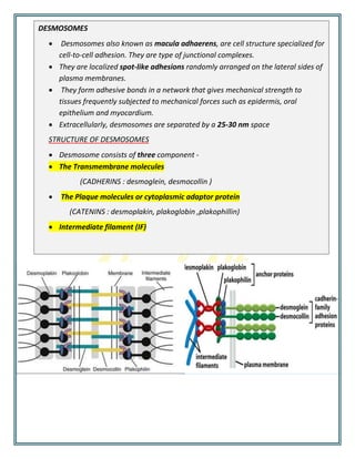 Oral mucosa membrane | PDF