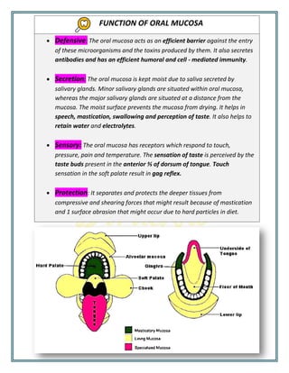 Oral mucosa membrane | PDF