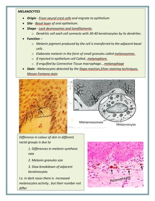 Oral mucosa membrane | PDF