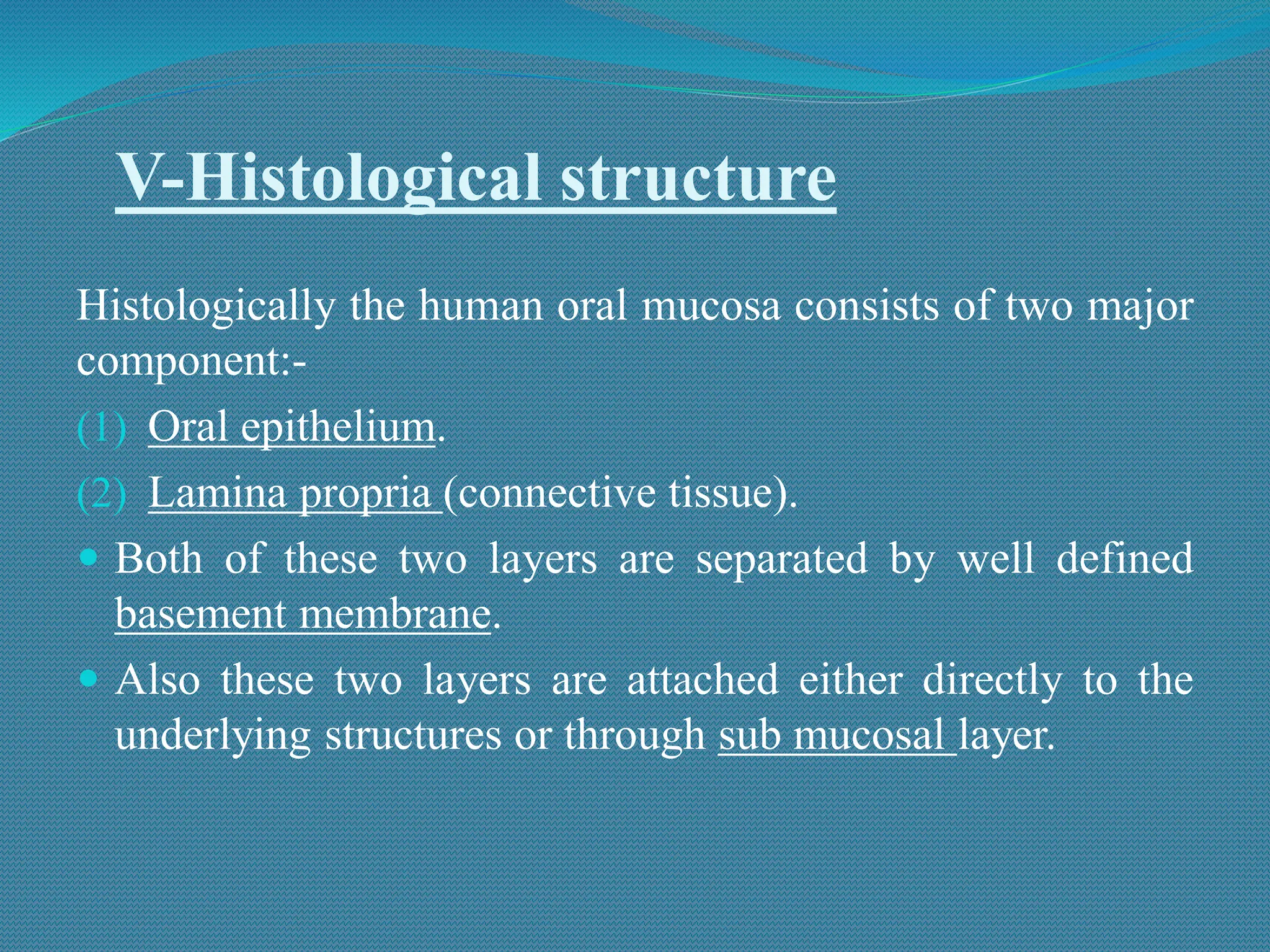 oral mucosa seminar definition and characteristics | PDF | Dental ...