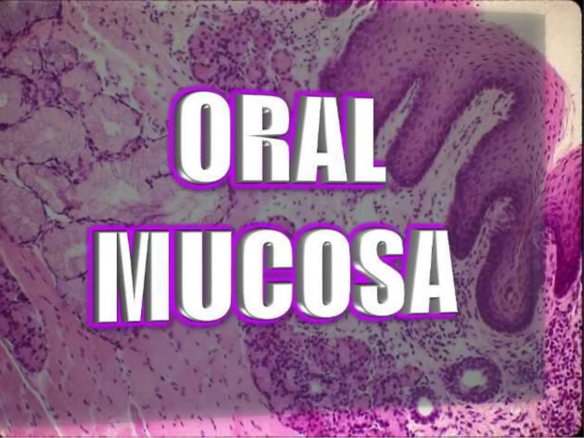 oral mucosa seminar definition and characteristics | PDF | Dental ...