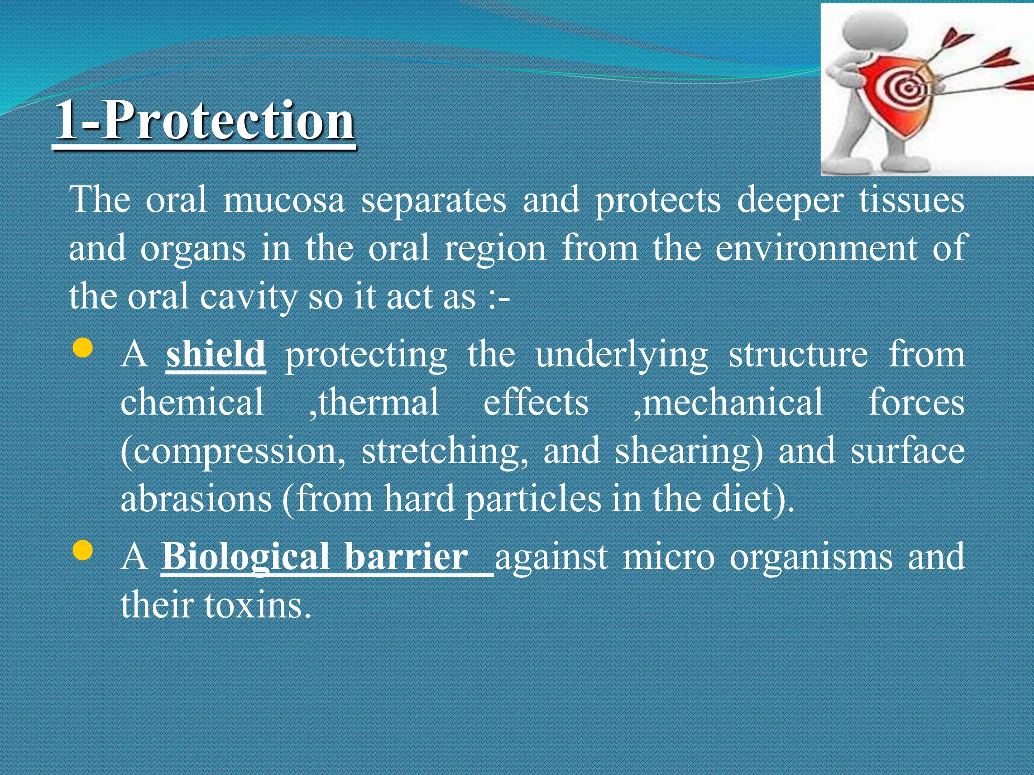 oral mucosa seminar definition and characteristics | PDF | Dental ...