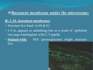 oral mucosa seminar definition and characteristics | PDF