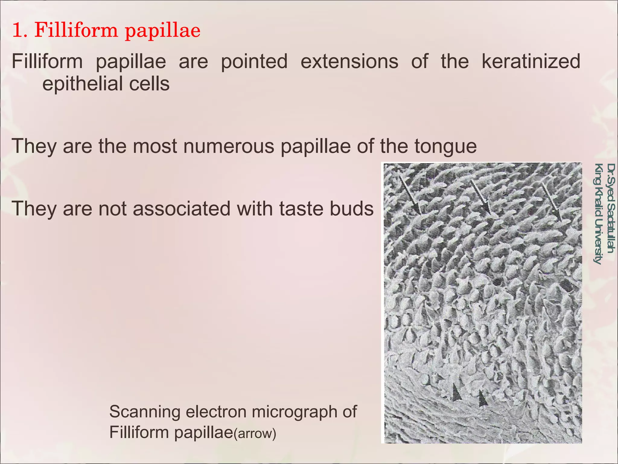 Oral Mucous Membrane | PPT