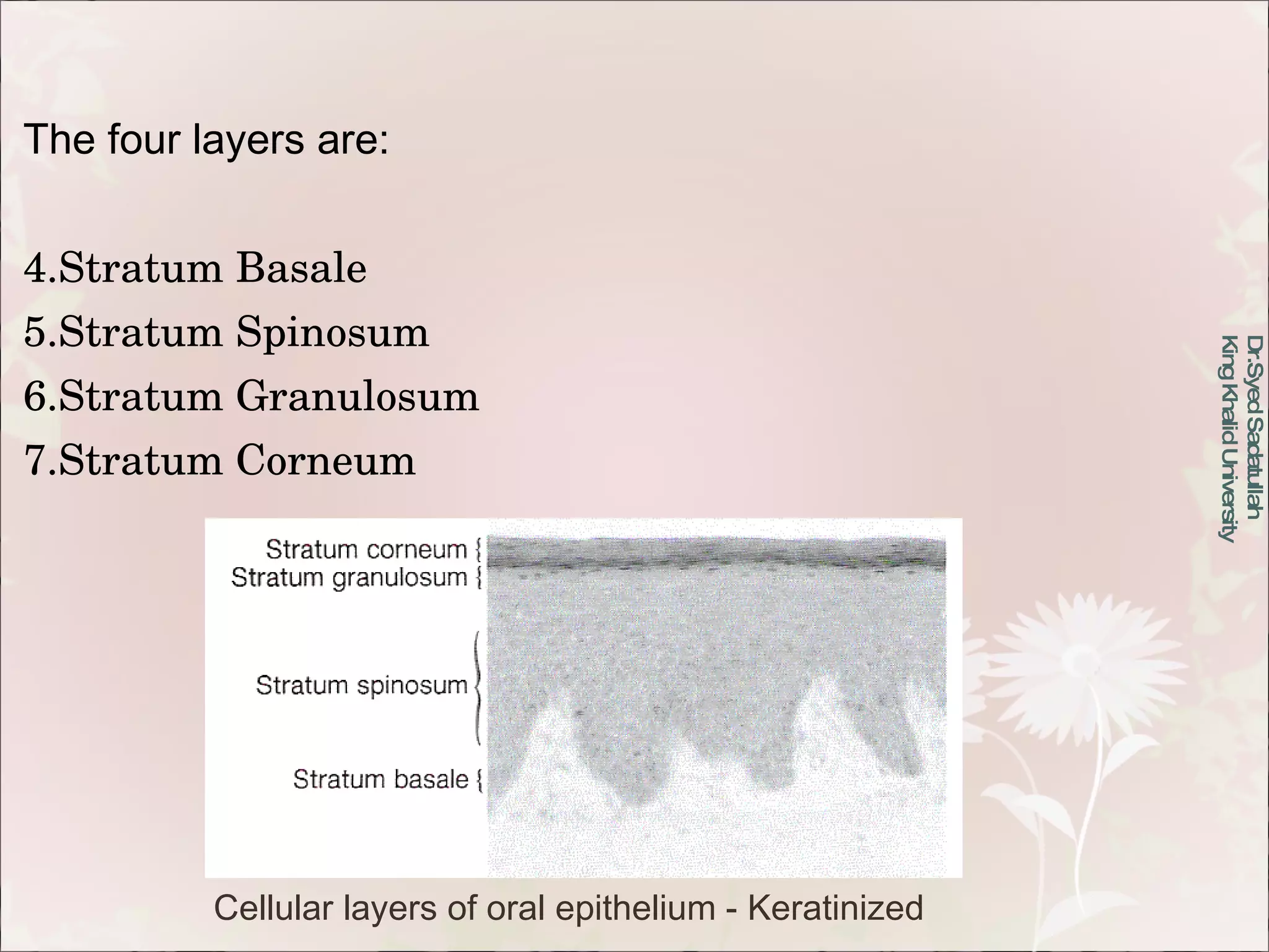 Oral Mucous Membrane | PPT
