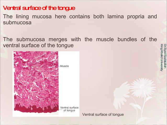 Oral Mucous Membrane | PPT | Dental Health | Diseases and Conditions