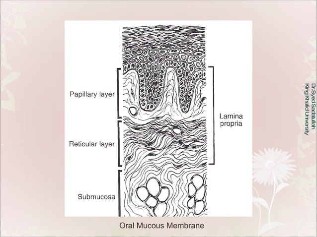 Oral Mucous Membrane | PPT | Dental Health | Diseases and Conditions