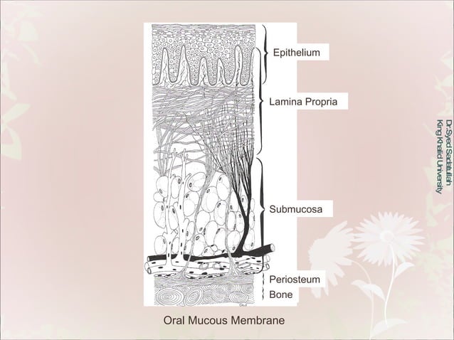 Oral Mucous Membrane | PPT | Dental Health | Diseases and Conditions