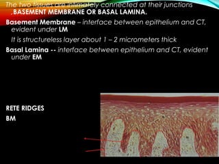Oral Mucous Membrane... Arindam | PPT