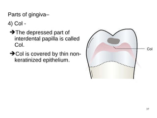 Oral mucous membrane | ODP