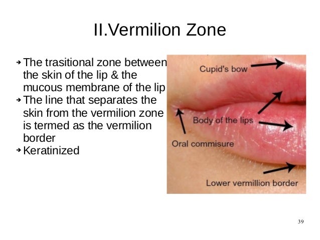 Oral mucous membrane
