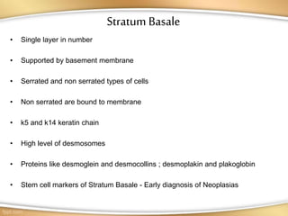 Oral mucous membrane | PPT