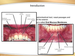 Oral mucous membrane | PPT