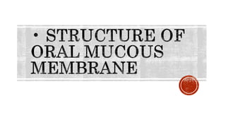 Structure and function of oral mucous membrane.pptx