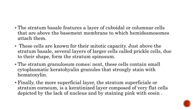 Structure and function of oral mucous membrane.pptx